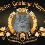 movie-review-cat-intro - Urbasm